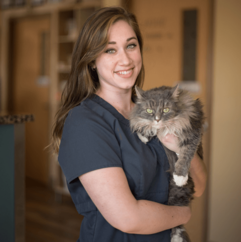 Veterinarian In Silver Spring, MD 20904 | Fairland Animal Hospital