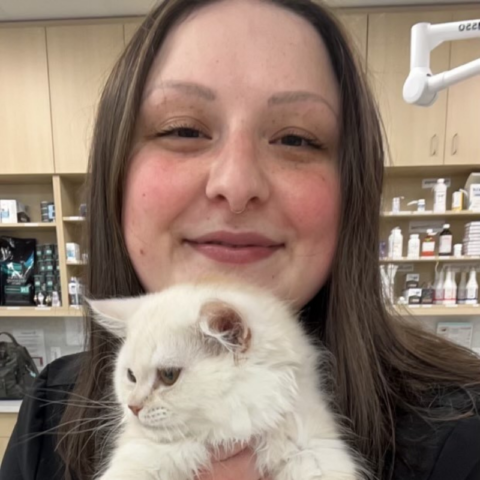 Veterinarian In Silver Spring, MD 20904 | Fairland Animal Hospital